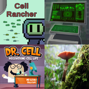 Game Based Learning: Structures of Protists and Fungi 6.L.5A - Free ...