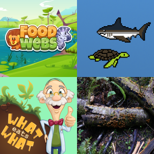 Free Educational Games: Cycles of Matter and Energy Transfer in ...