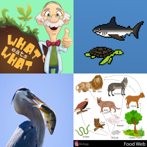 Free Lesson: Food Webs in an Ecosystem MS-LS2.B-1 - Free Educational ...