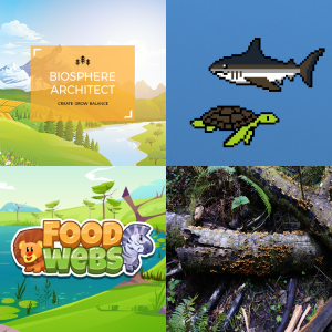 Game Based Learning: Cycles of Matter and Energy Transfer in Ecosystems ...