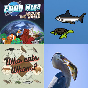 Free Lesson: Food Chains & Food Webs - Free Games, Assessments, and ...