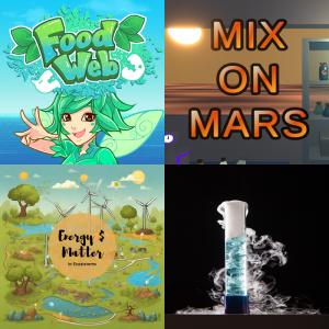 Worksheet: Cycles of Matter and Energy Transfer in Ecosystems ES-LS2.B ...