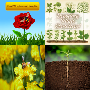 Student Lesson: Plant Structure and Function ES-LS1.A-1a - Free Games ...