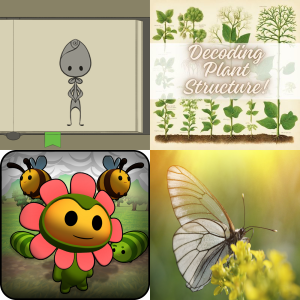Free Educational Games: Structures of Plants vs Animals SC.5.L.14.2 ...