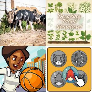 Game Based Learning: Structures of Plants vs Animals SC.5.L.14.2 - Free ...