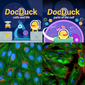 Student Lesson: Cells and Life MS-LS1.A-1 - Free Games and Assessments ...