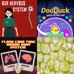 Lesson: Legends of Learning #4 - Free Games and Assessments - Legends ...