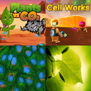 Practice: Photosynthesis & Cellular Respiration - Free Educational ...