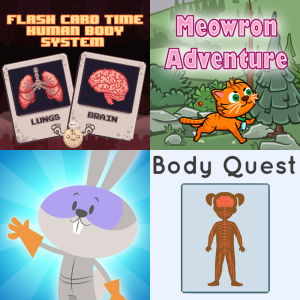 Lesson: Functions and Interactions of Humans' Body Systems SC.6.L.14.5 ...