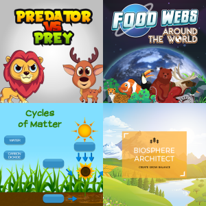 Practice: Cycles of Matter and Energy Transfer in Ecosystems ES-LS2.B-1 ...