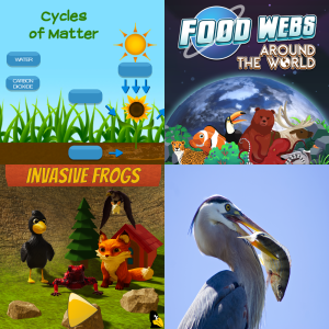 Teaching Plan: Flow of Energy in the Food Chain SC.4.L.17.3 - Free ...