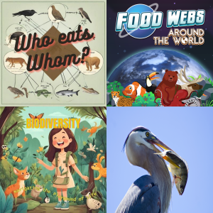 Free Homework Prep: Biodiversity and Humans ES-LS4.D-1 - Free Games and ...