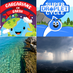 For Class: The Water Cycle SC.5.E.7.1 - Free Games and Assessments ...
