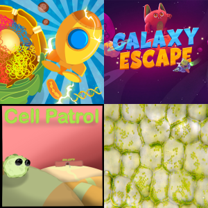 Lesson: Homeostasis and the Cell Membrane 7.LS1.2 - Free Educational ...