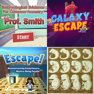 Practice: Reconstructing Evolutionary History Using Fossils MS-LS4.A-2 ...