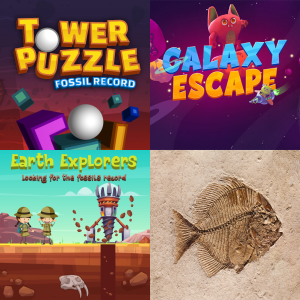 Lesson: Fossil Record MS-ESS1.C-1a - Free Educational Games - Legends ...