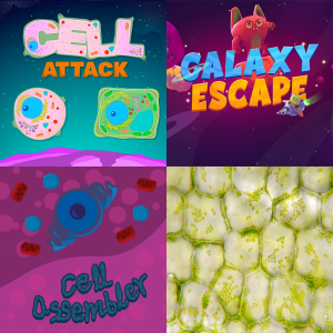 For Class: Multicellular Organisms and their Subsystems MS-LS1.A-3 ...