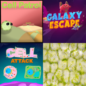 Free Homework Prep: Homeostasis and the Cell Membrane 7.LS1.2 - Free ...