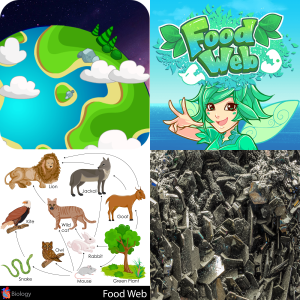 Worksheet: Common Earth Elements 6.5B - Free Games and Assessments ...