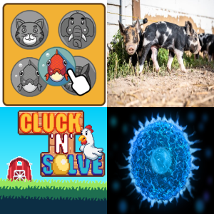 Game Based Learning: Major Systems of the Human Body 5.L.1.2 - Free ...