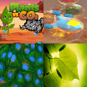 Practice: Photosynthesis & Cellular Respiration - Free Educational ...