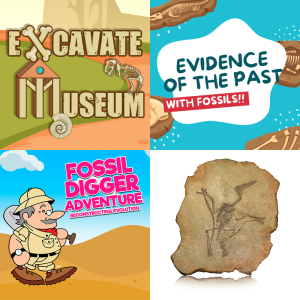 Game Based Learning: Reconstructing Evolutionary History Using Fossils ...