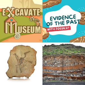 Game Based Learning: Formation of Sedimentary Rocks and Fossil Fuels 5 ...