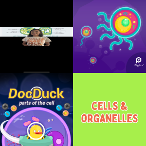 Free Lesson: Cosmic Cells - Free Games and Videos - Legends of Learning