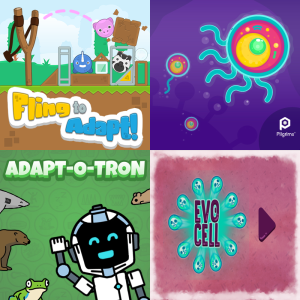 Free Homework Prep: Embryological Evidence for Common Ancestry MS-LS4.A ...