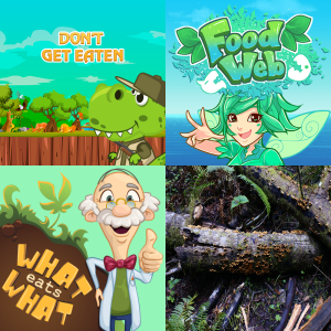 For Class: Cycles of Matter and Energy Transfer in Ecosystems ES-LS2.B ...