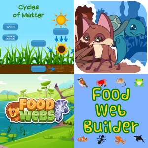 Practice: Flow of Energy in the Food Chain SC.4.L.17.3 - Free ...