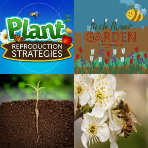 Free Educational Games: Plant Reproduction Strategies MS-LS1.B-2 - Free ...