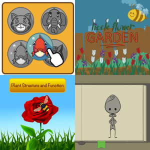 Worksheet: Plant Structure and Function 4-LS1.A-1a - Free Educational ...