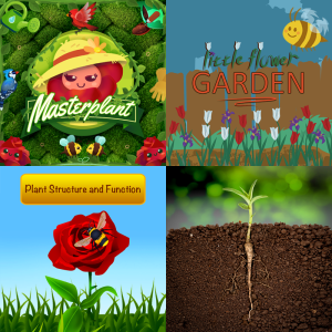 Free Educational Games: Plant Structures and their Function SC.3.L.14.1 ...