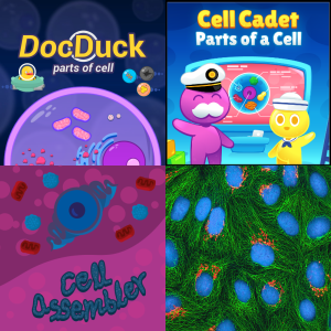 Worksheet: L of L: Parts of the Cell - Plants vs. Animals (MS-LS1.A-2b ...