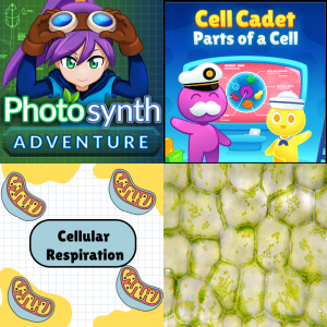 Game Based Learning: Chemical Reactions of Cellular Respiration - Free ...