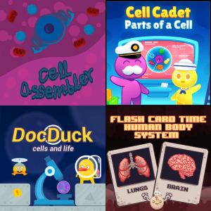 Student Lesson: Organization Of Body Systems 7.3.3 - Free Educational ...