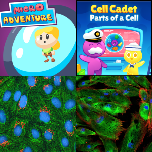 Teaching Plan: LOL Extra Credit: Cells and Life - Free Games and ...