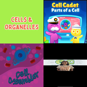 Lesson: Parts of the Cell 8.13A - Free Games and Videos - Legends of ...