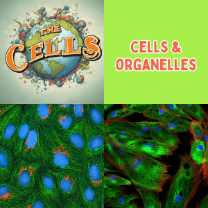 Teaching Plan: Cells and Life - Free Games and Videos - Legends of Learning