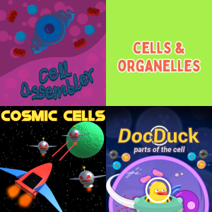 Free Educational Games: Functions of Cells 6.LS.3 - Free Games and ...