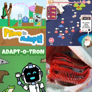 Worksheet: Adaptation of Internal Structures 7.12A - Free Games and Assessments - Legends of ...