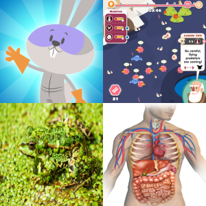 Worksheet: Multicellular Organisms and their Subsystems MS-LS1.A-3 ...