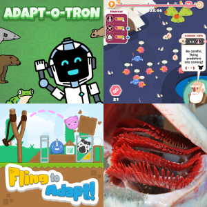 Game Based Learning: Adaptation of Internal Structures 7.12A - Free ...