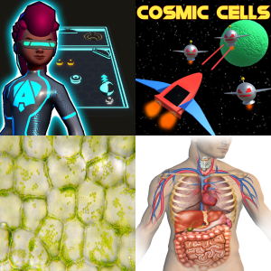 Student Lesson: Organization Of Body Systems 7.3.3 - Free Educational ...