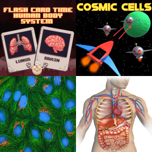 Game Based Learning: Multicellular Organisms and their Subsystems SC.6. ...