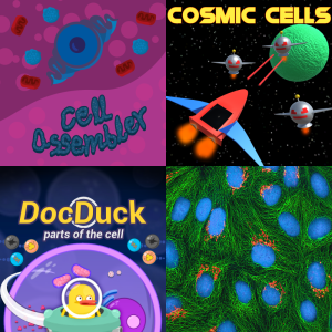 Worksheet: Parts of the Cell 8.13A - Free Games and Assessments ...