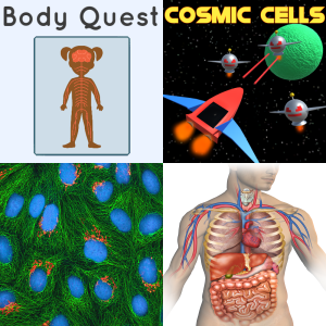 Free Lesson: Multicellular Organisms and their Subsystems MS-LS1.A-3 ...