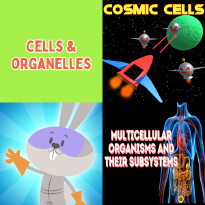 Game Based Learning: Multicellular Organisms and their Subsystems MS ...
