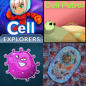 Lesson: Structures and Functions of Single Celled Organisms 7.L.1.1 ...